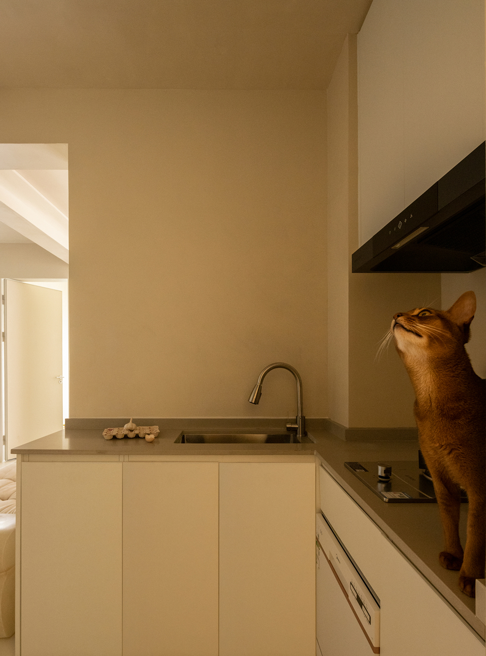 YinjiSpace - INFINITE STUDIO Space Design x W Residence